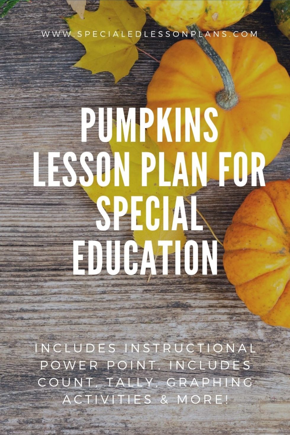 Pumpkins Lesson | Special Ed Lesson Plans